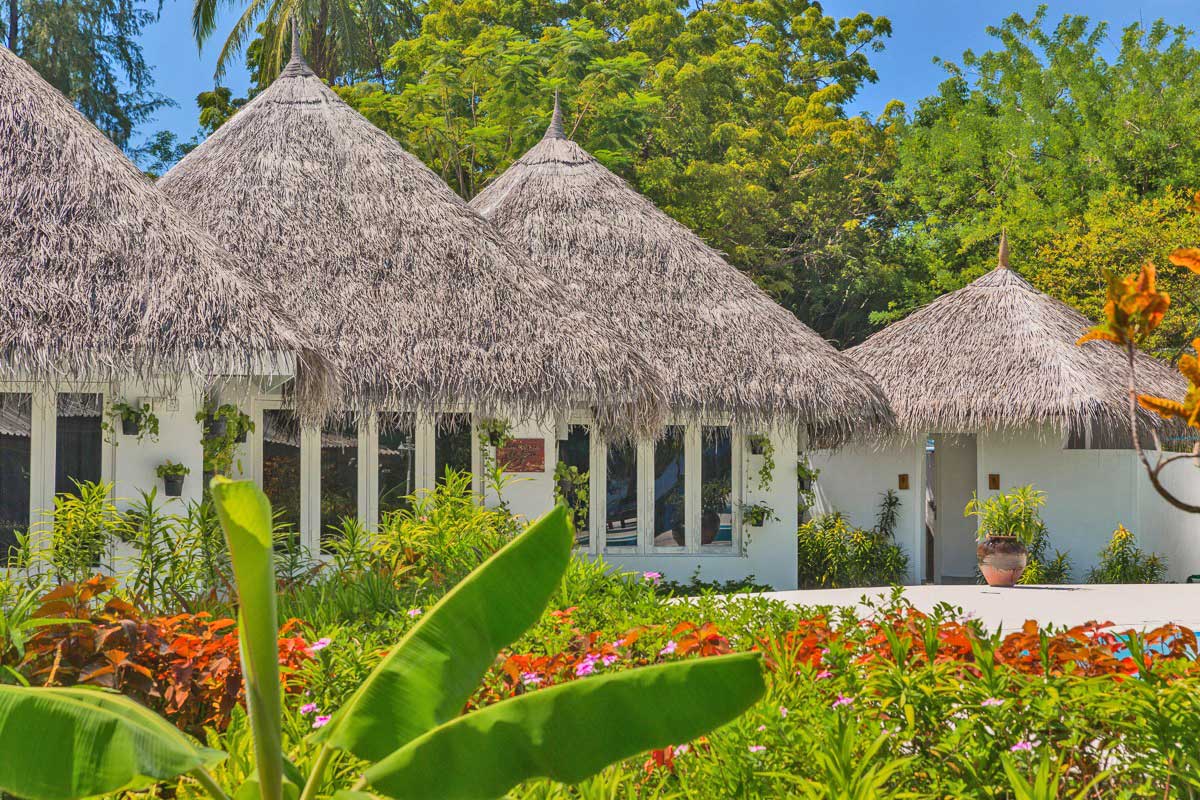 Equator Village - The Unique Budget Friendly Maldives Hotel - Maldives ...